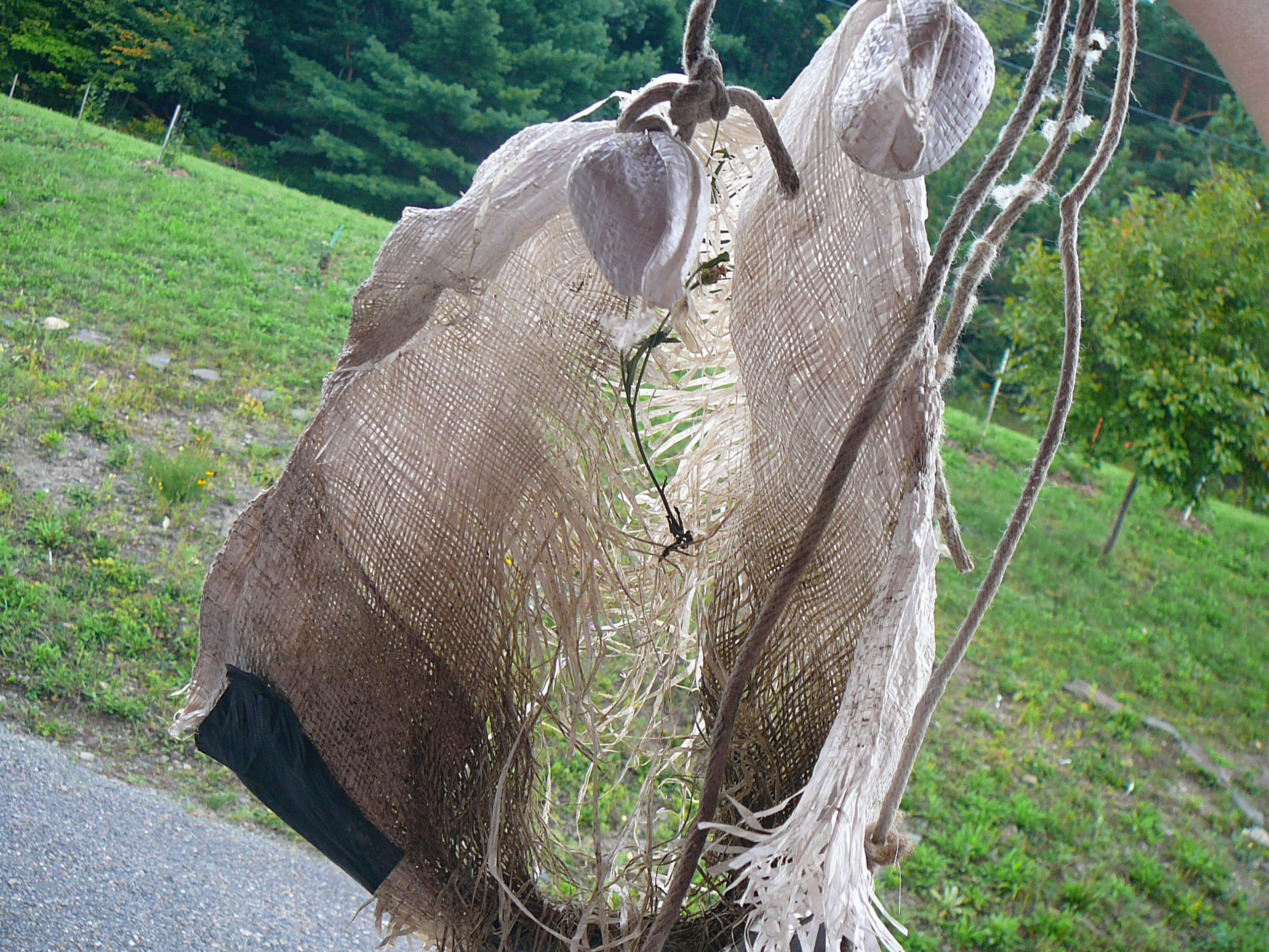 Reflections on “Working with Nature” – Shelterbelt Farm